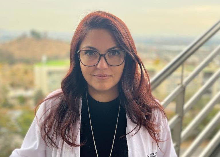 Murtilla: El fruto endémico de Chile que podría proteger cerebro e ...